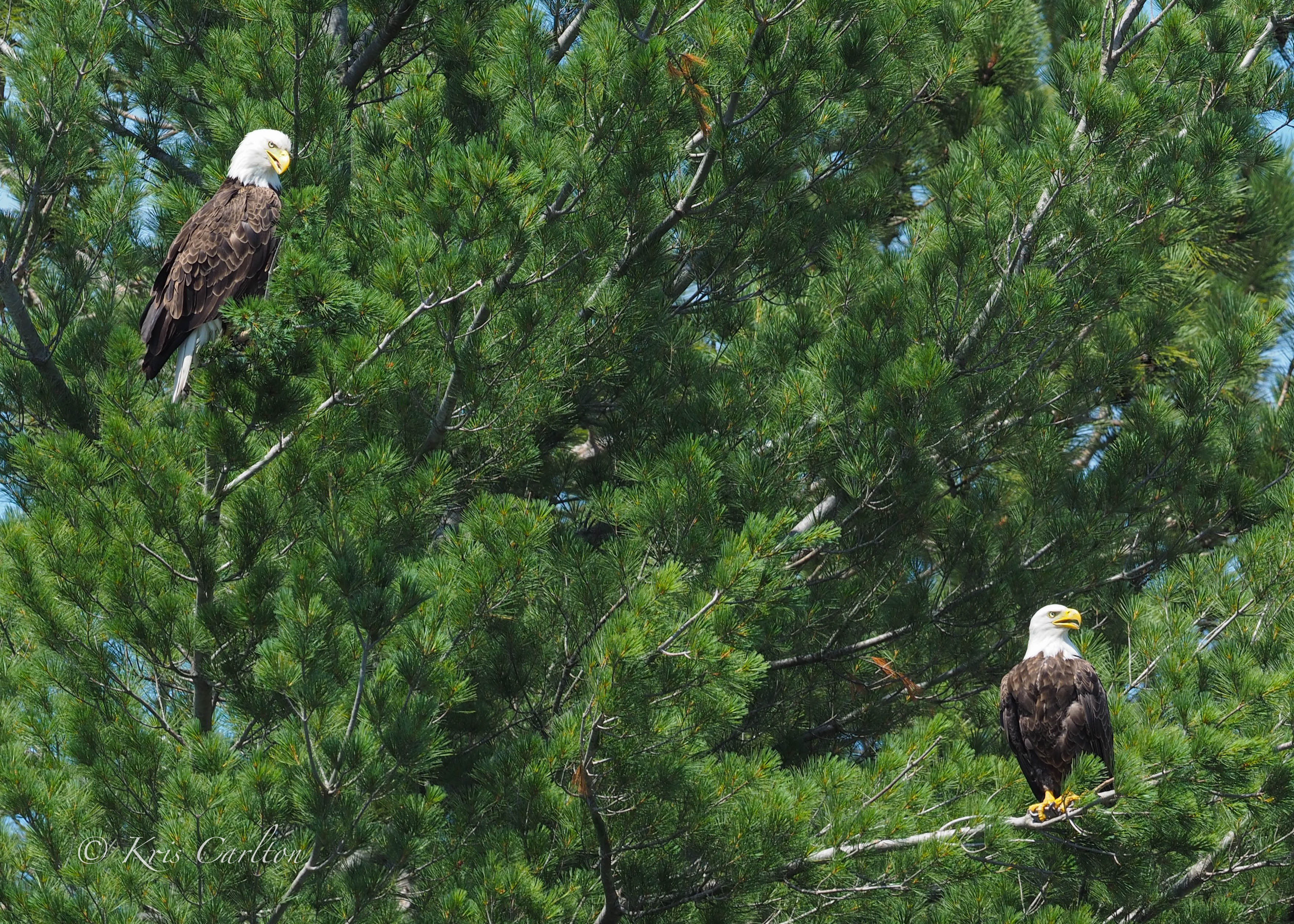 Photos | Minong Town Lakes Committee