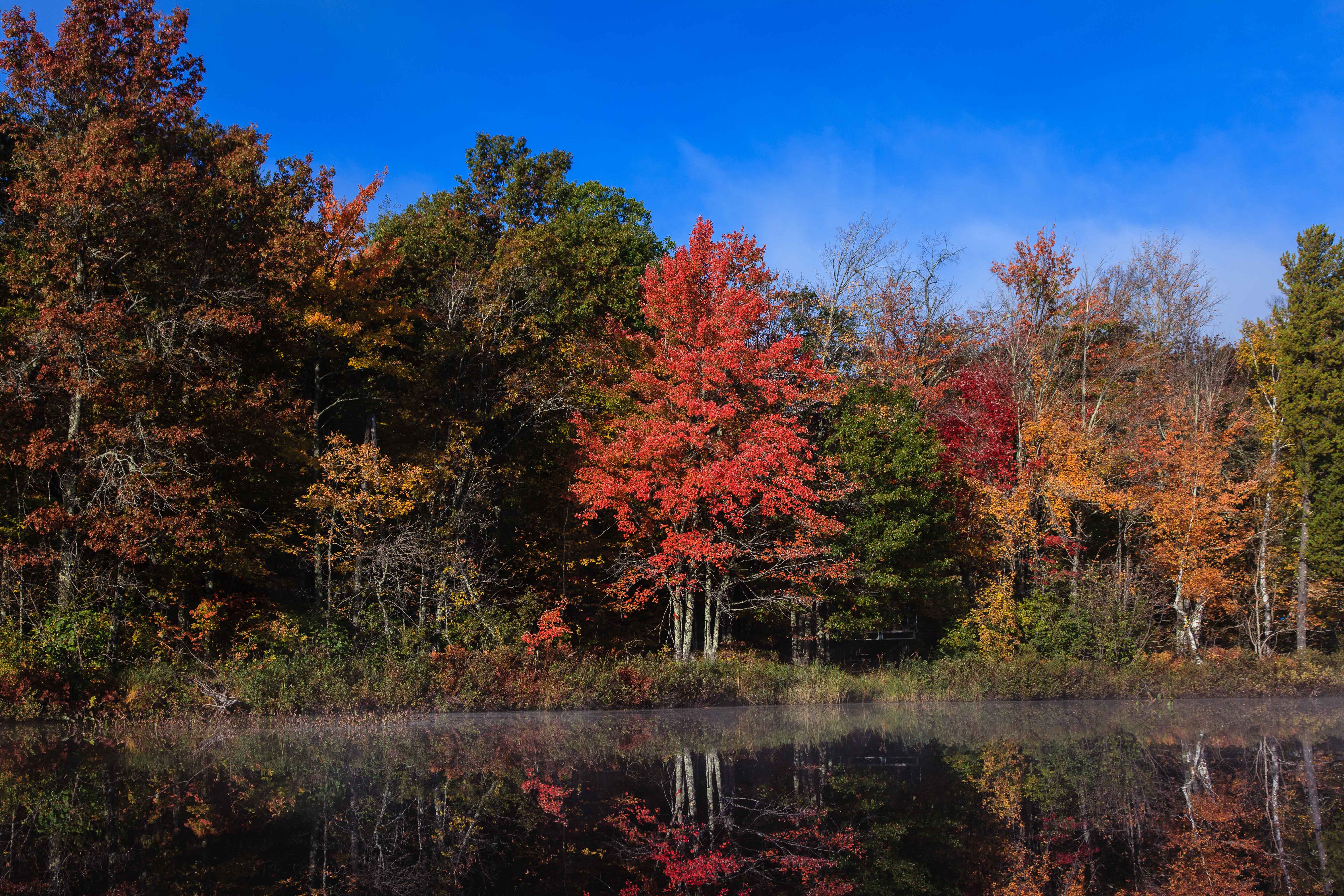 Photos | Minong Town Lakes Committee