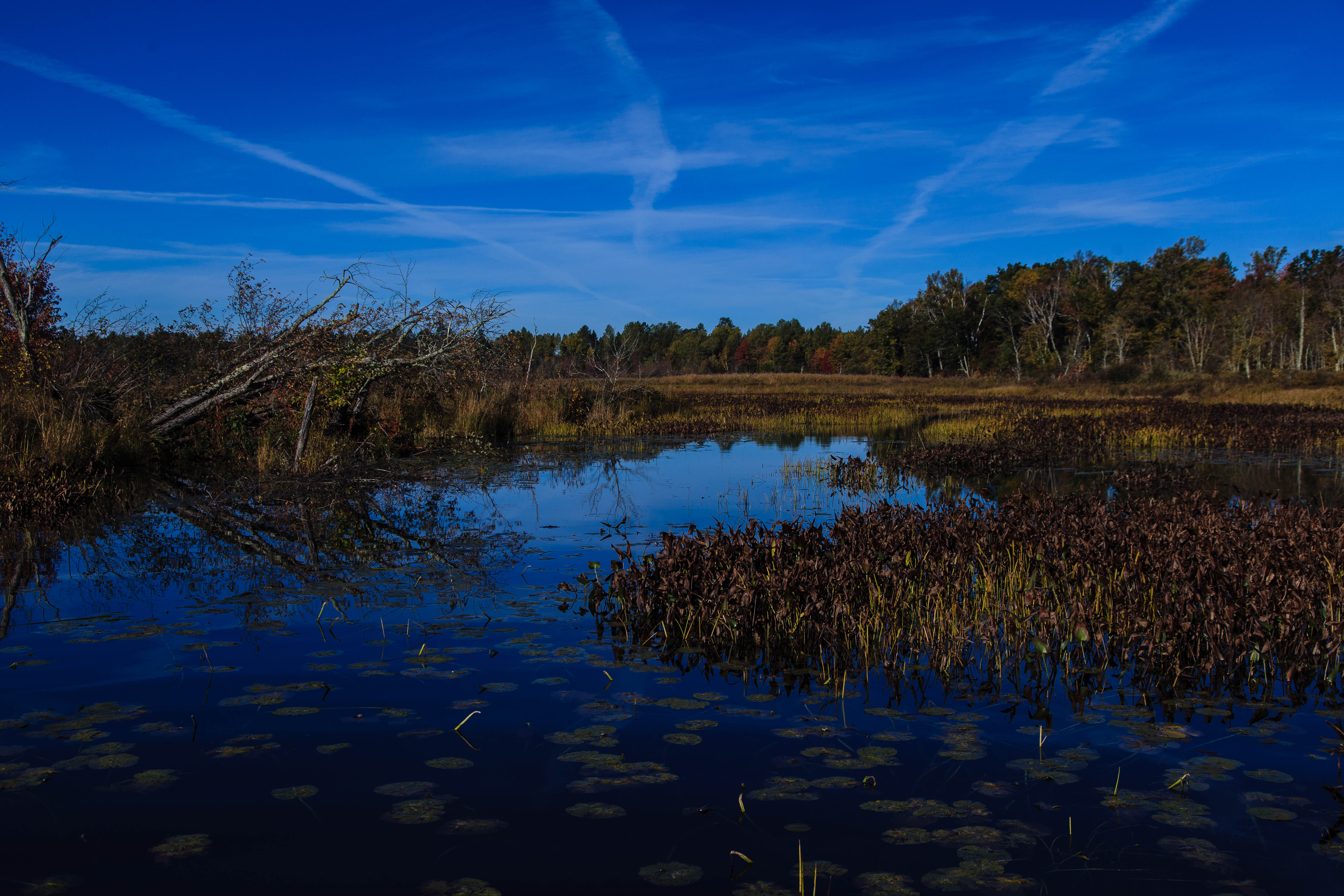 Photos | Minong Town Lakes Committee